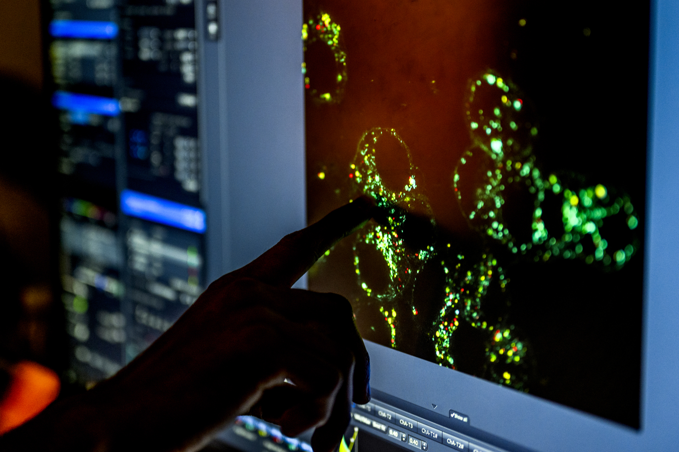 What Caused the Pagers Used by Hezbollah to Explode?