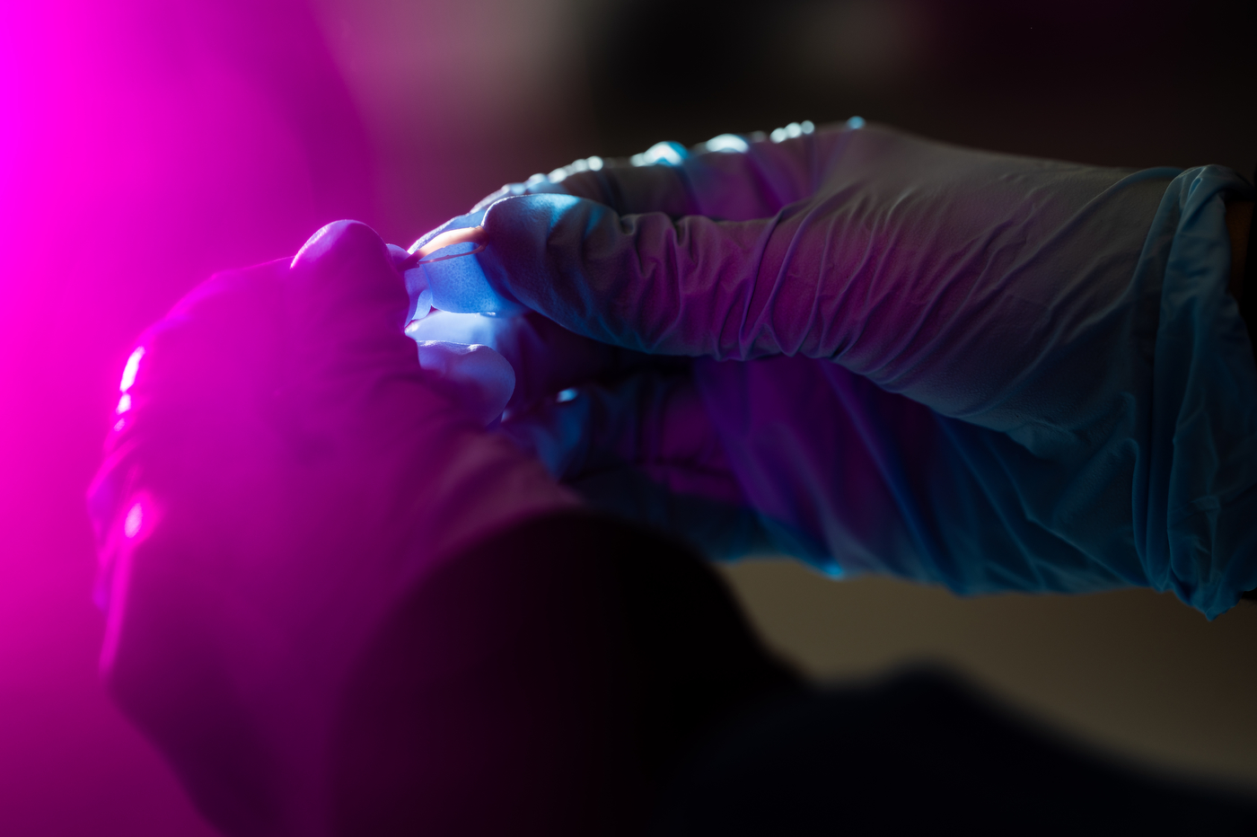 Mouse Study to Test Nature vs. Nurture in Bone Growth