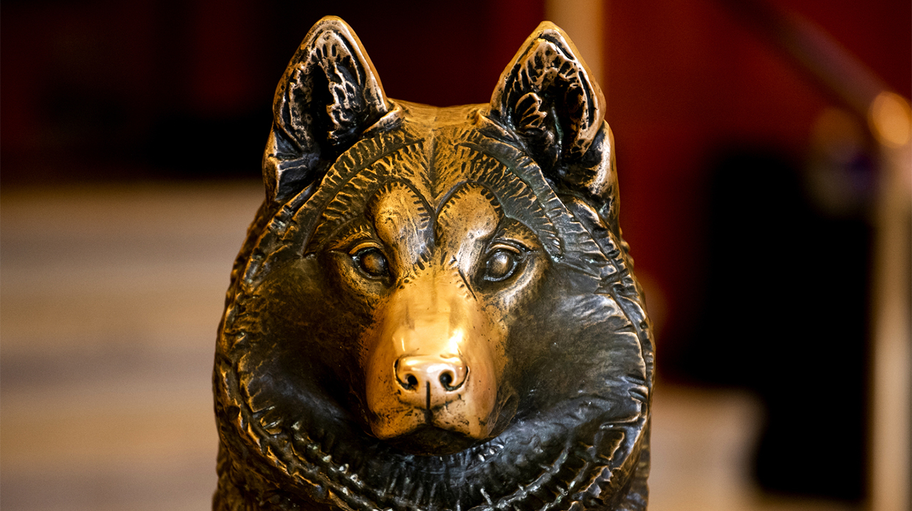 Trivia: When did Northeastern get its Husky mascot?