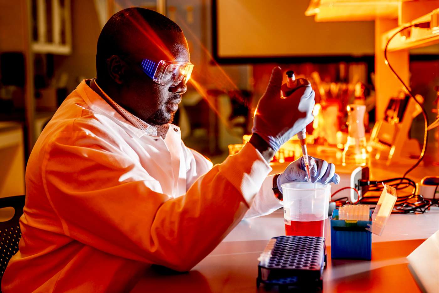 A research study in scarlet - Northeastern Global News