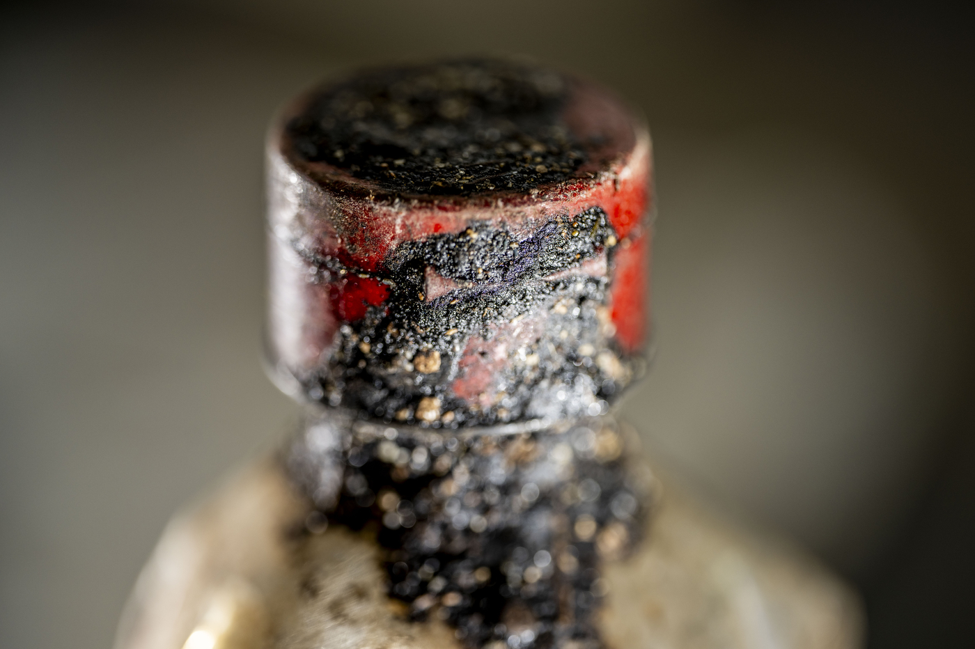 Oil Spill With No Clear Origin Traveled From Brazil to Palm Beach