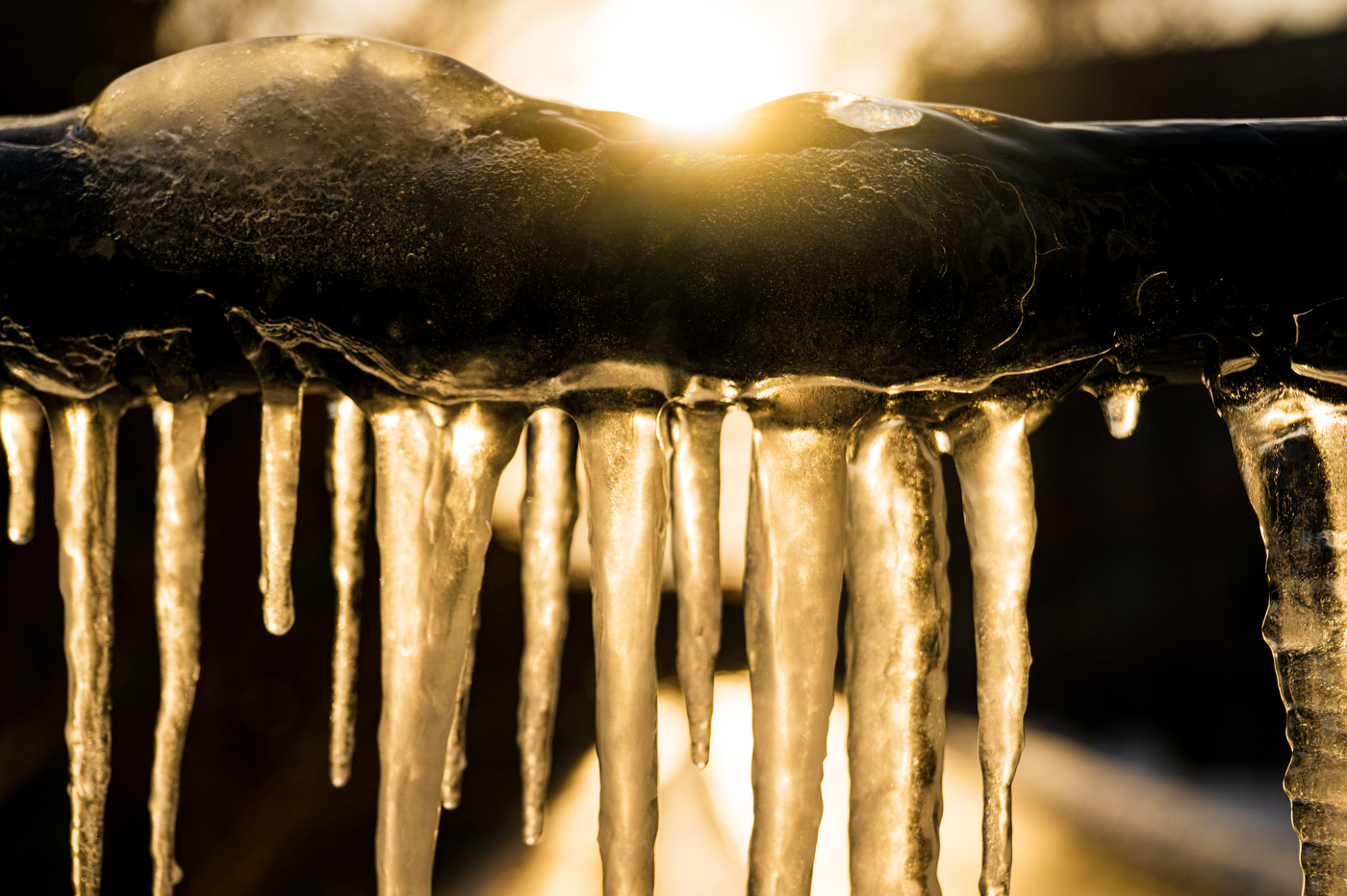 Cold as ice - Northeastern Global News