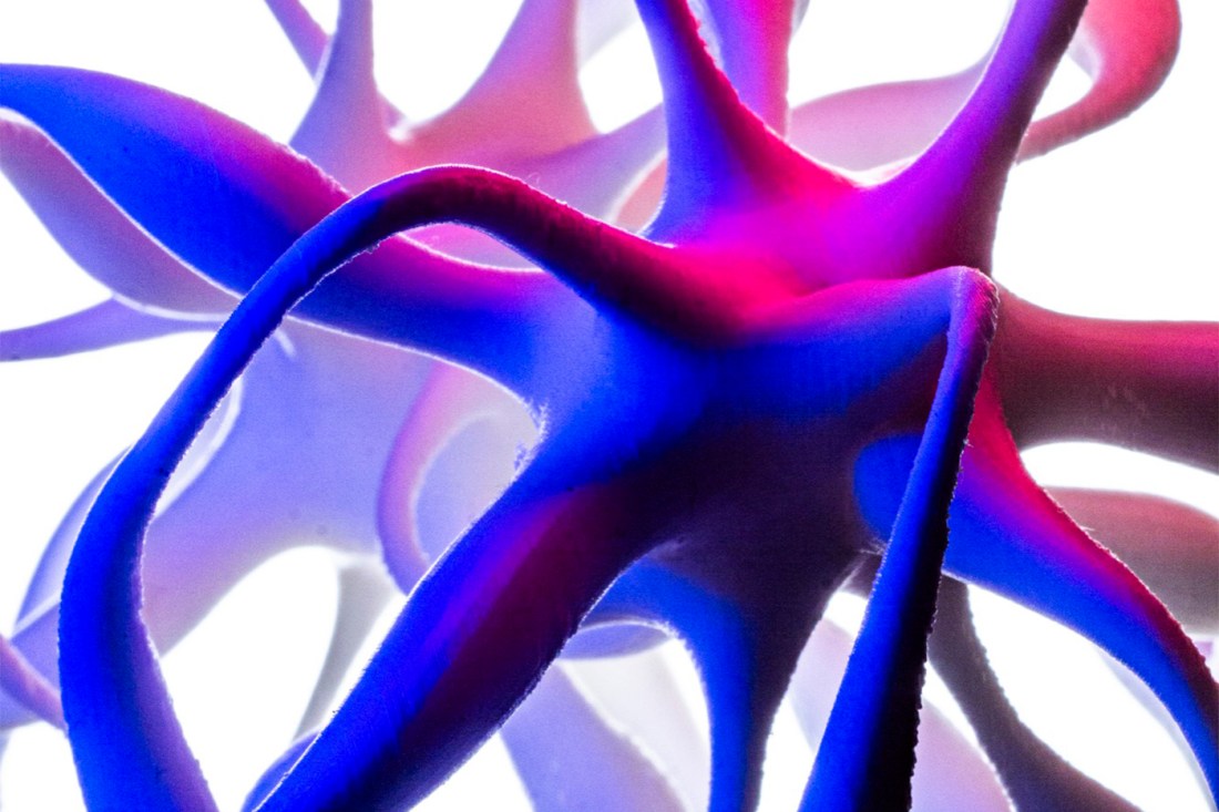String Theory Mathematics Solve Mystery of the Brain's Structure