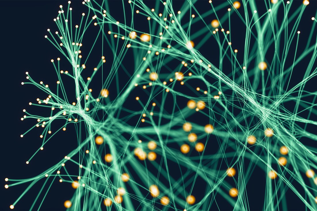 String Theory Mathematics Solve Mystery of the Brain's Structure