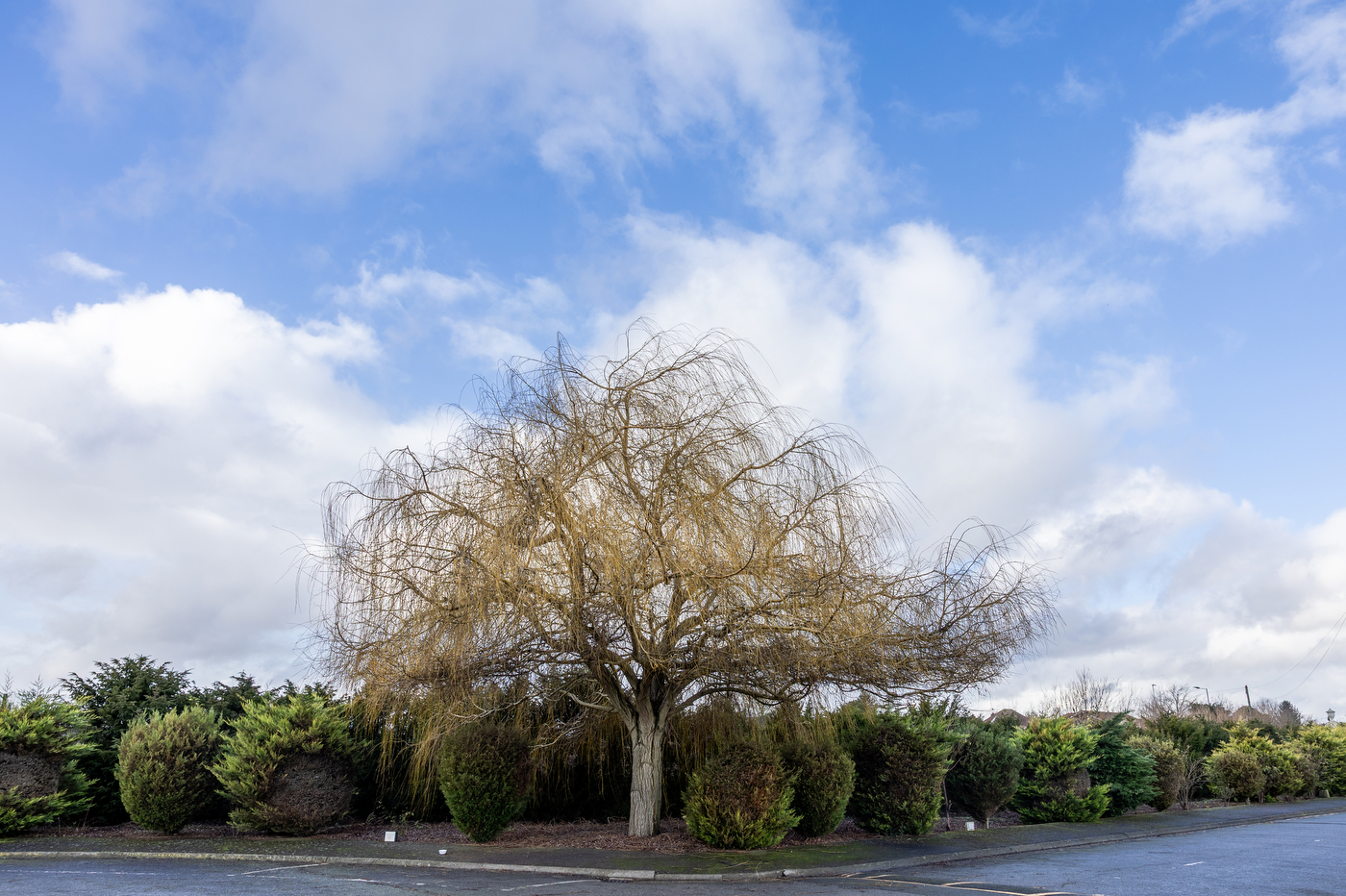 Student Secures Action On Launders Lane Toxic Land