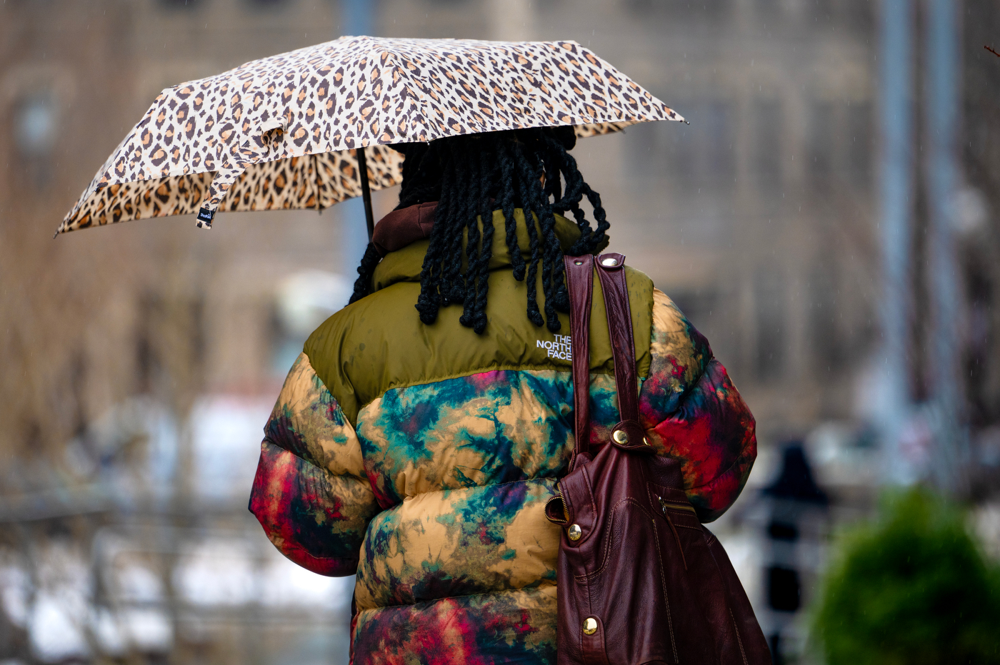Come rain or class - Northeastern Global News