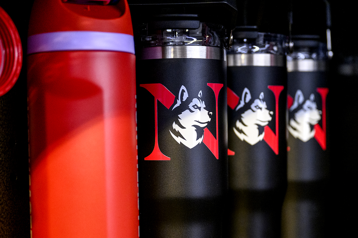 Which Northeastern brand colors should be used most often?